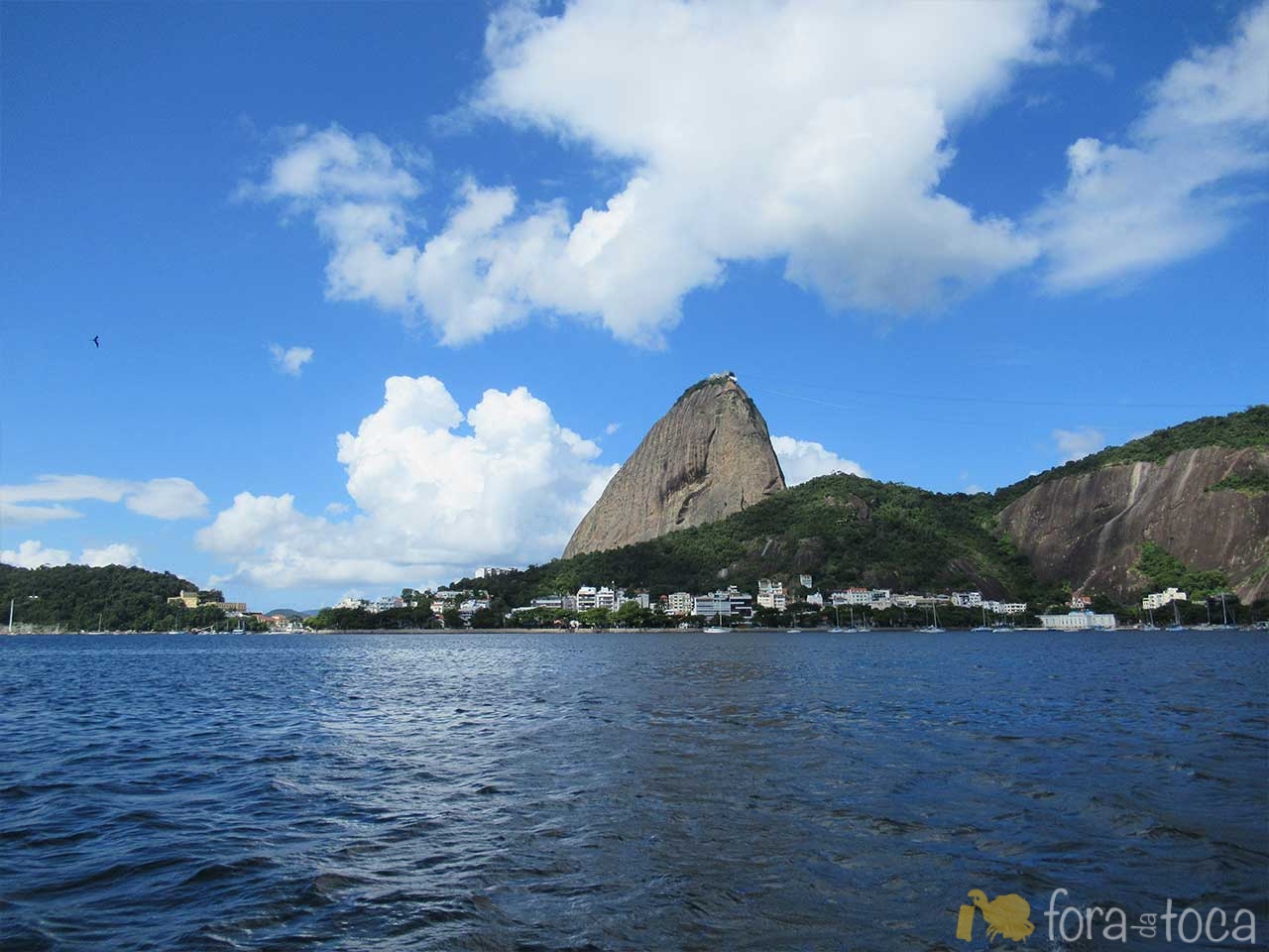 Sail in Rio passeio de veleiro pelo Rio de Janeiro – Fora da toca